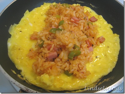 Omurice (Ketchup Rice) ~ Lindselicious